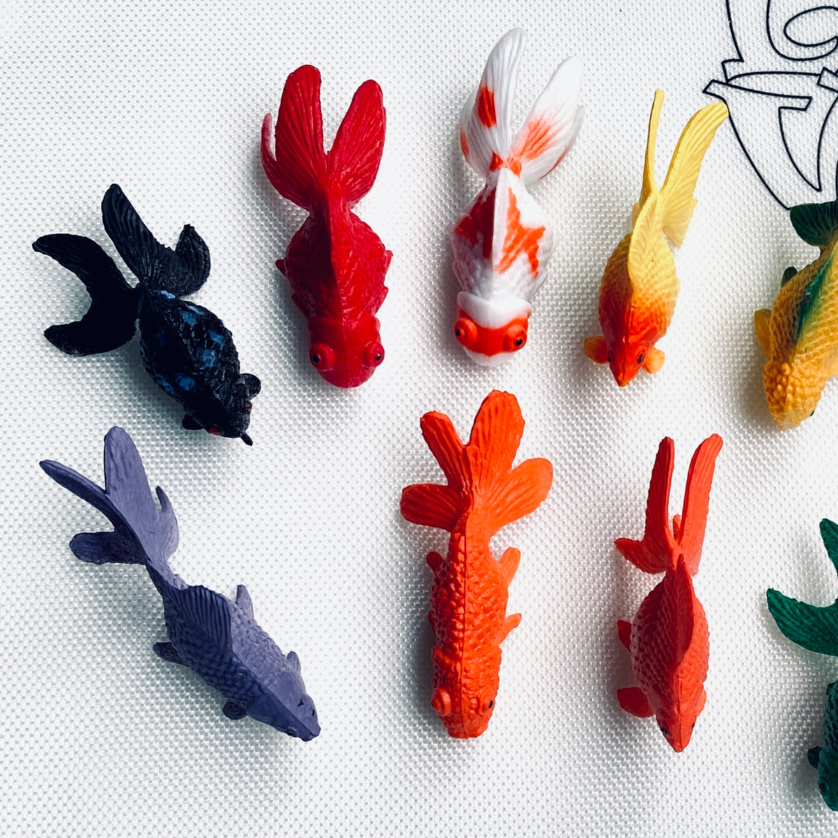 Exotic Fish Collection - 12 – LOLIVEFE, LLC